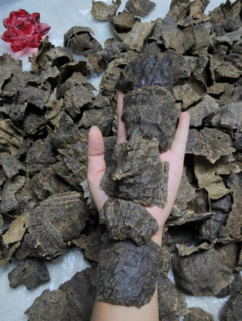 Vietnamese King Char Triple Super – Agarwooda